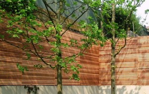 Wooden Slatted Horizontal Privacy Screen Trellis in Cedar Pine and ...