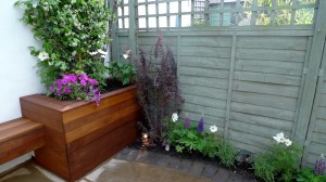 Islington Garden Design And Designer Modern Garden Curved Paving ...